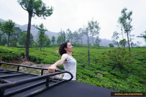 Munnar Thekkady Alleppey Tour- 5 Days | Kerala Tour Packages